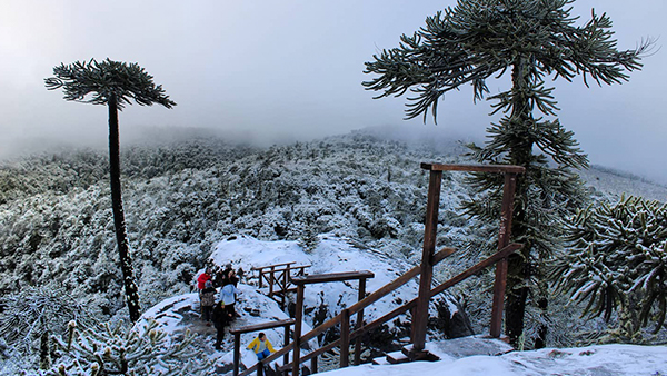 FAU Firma convenio con I. Municipalidad de Angol - Facultad de ...